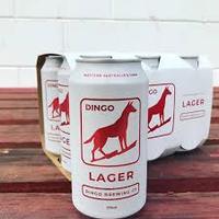 DINGO LAGER 6 PACK x 375ML CANS CARTON - Beer - Beer - Craft - Aussie ...